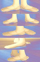 Ballet Positions - The Essential Basics of Ballet